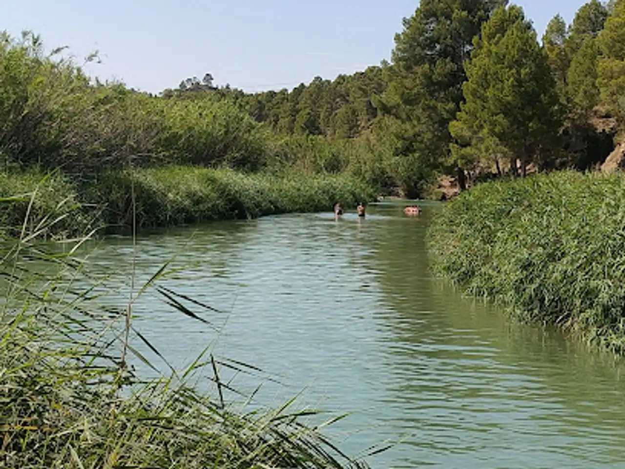 Los 10 Mejores Parques para Niños en Requena
