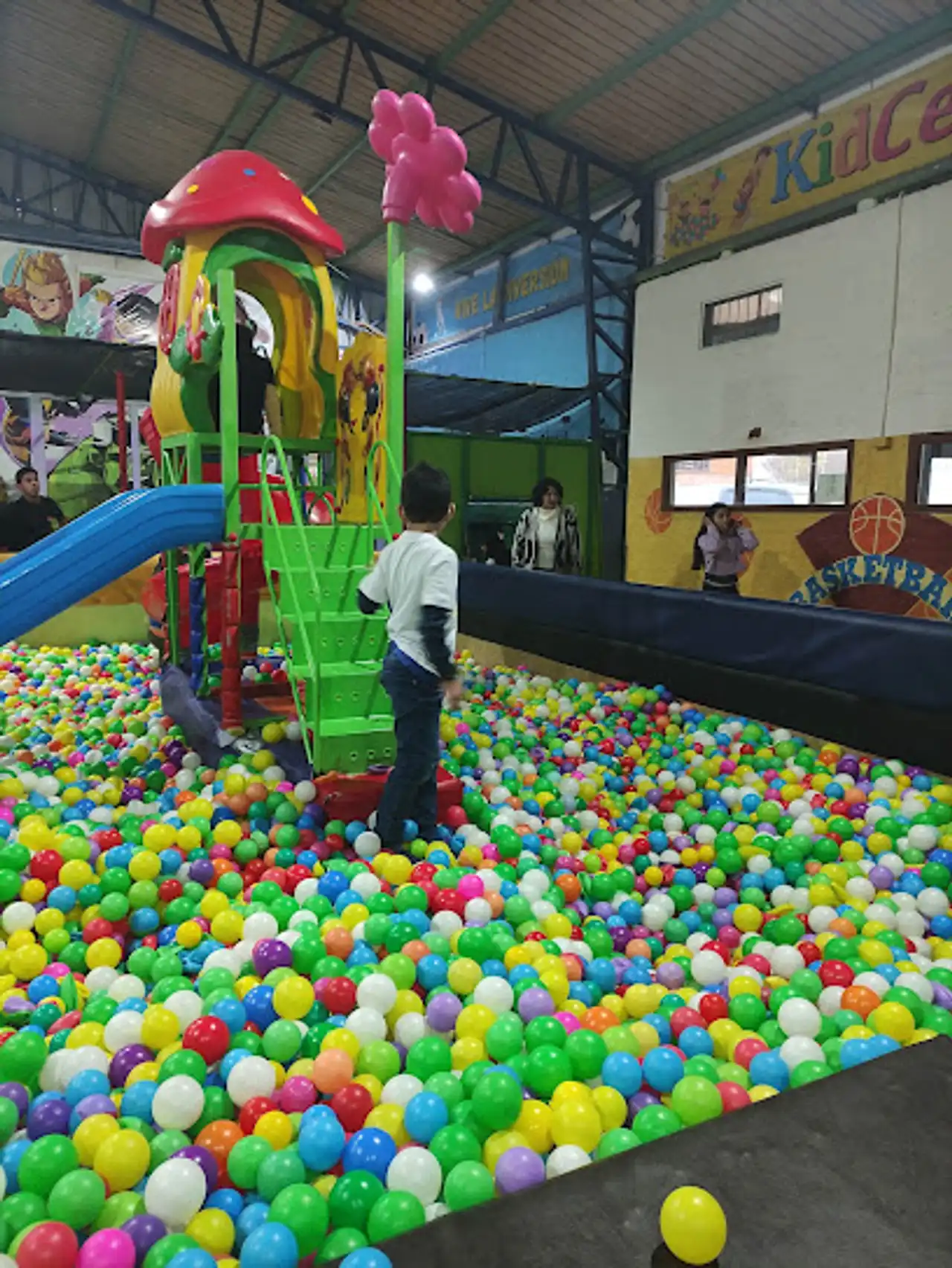 Los 10 Mejores Museos para Niños en Rancagua (Chile)